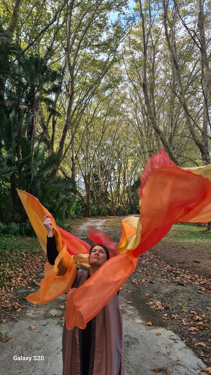 Revival Fire - Revival Flags